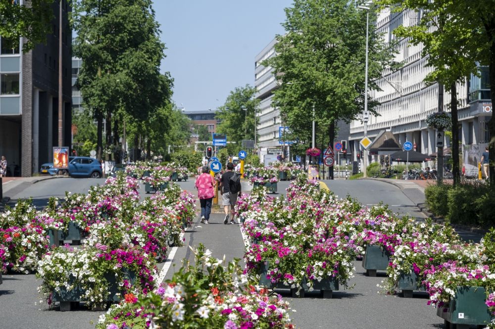 Stikstofdioxide (NO2) meting Knip Weesperstraat | GGD Amsterdam